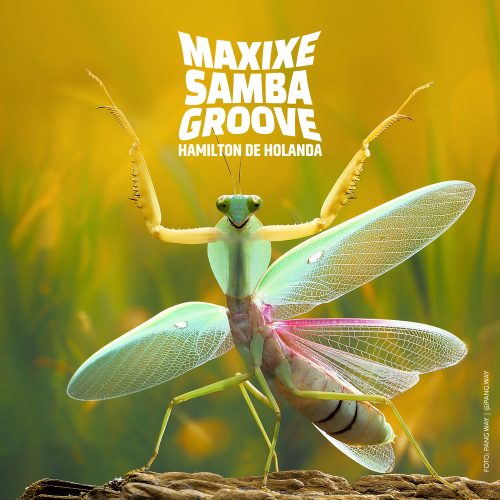 Maxixe Samba Groove (Brasilianos) – Today's Jazz